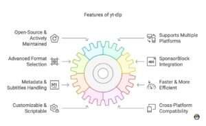 Effortless YouTube Download on Ubuntu? Here’s How to Install yt-dlp Right